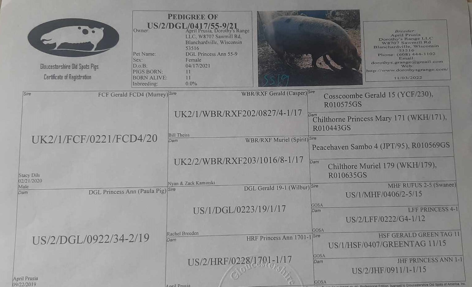 GOSA Frequently Asked Questions - Gloucestershire Old Spots of America, Inc